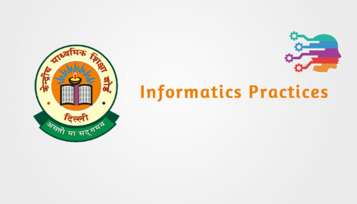 How to Make a Great IP Project for CBSE Class XII?