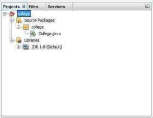 How to connect NetBeans IDE to MySQL Database?