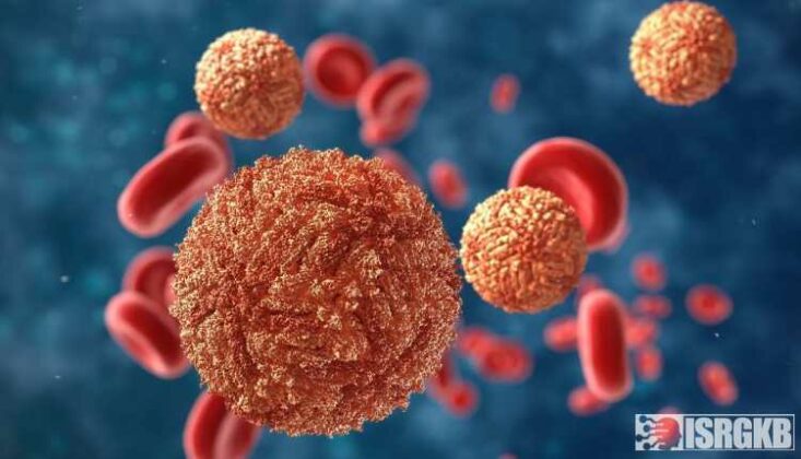 Top 10 Most Deadliest Viruses in Human History Across the Globe