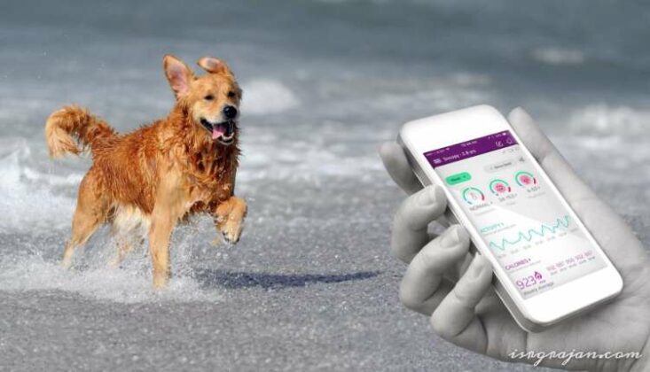 The 10 Smart Sensors that Every Indian Home Should have